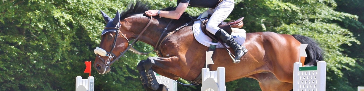 Showjumping Ireland Munster > Home